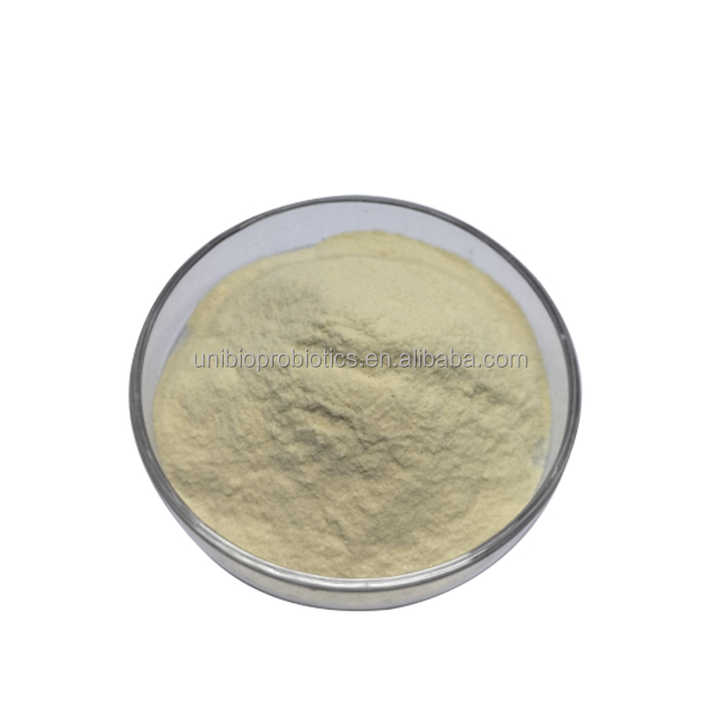 Lactobacillus Rhamnosus LR663 Probiotics Powder - High Potency