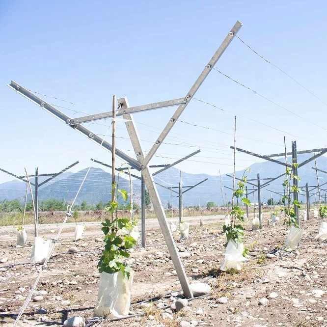 Galvanized Steel Vineyard Trellis Post Equipment With End Post Grape ...