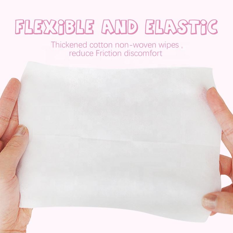Odor Block Daily Freshening Feminine Hygiene Wipes Eco-Friendly ...