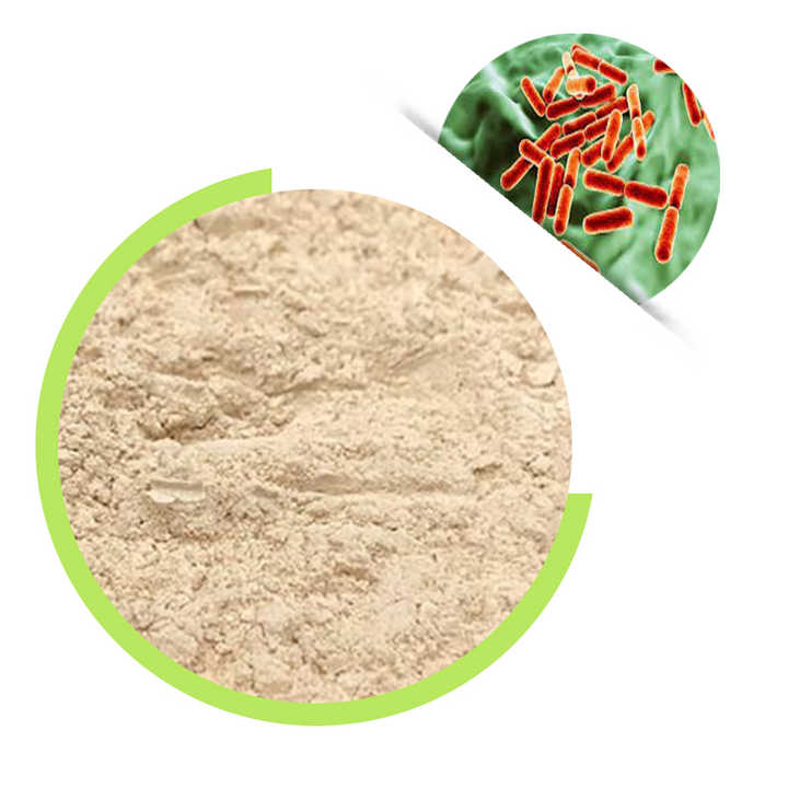 Factory Supply High Potency Probiotic Water Soluble Bacillus Clausii ...
