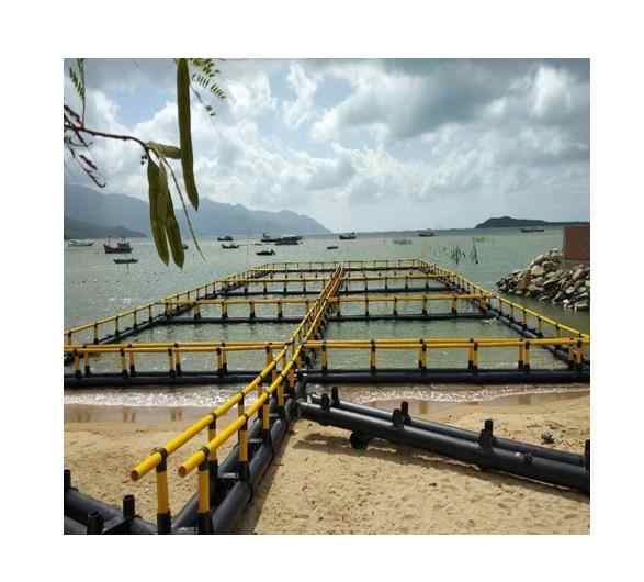 HDPE Square Fish Cages - Durable and Customizable Solutions