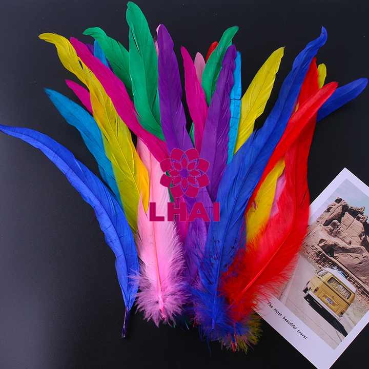 Carnival Decoration Dyed Colors Rooster Tail Feathers Coque Chicken ...