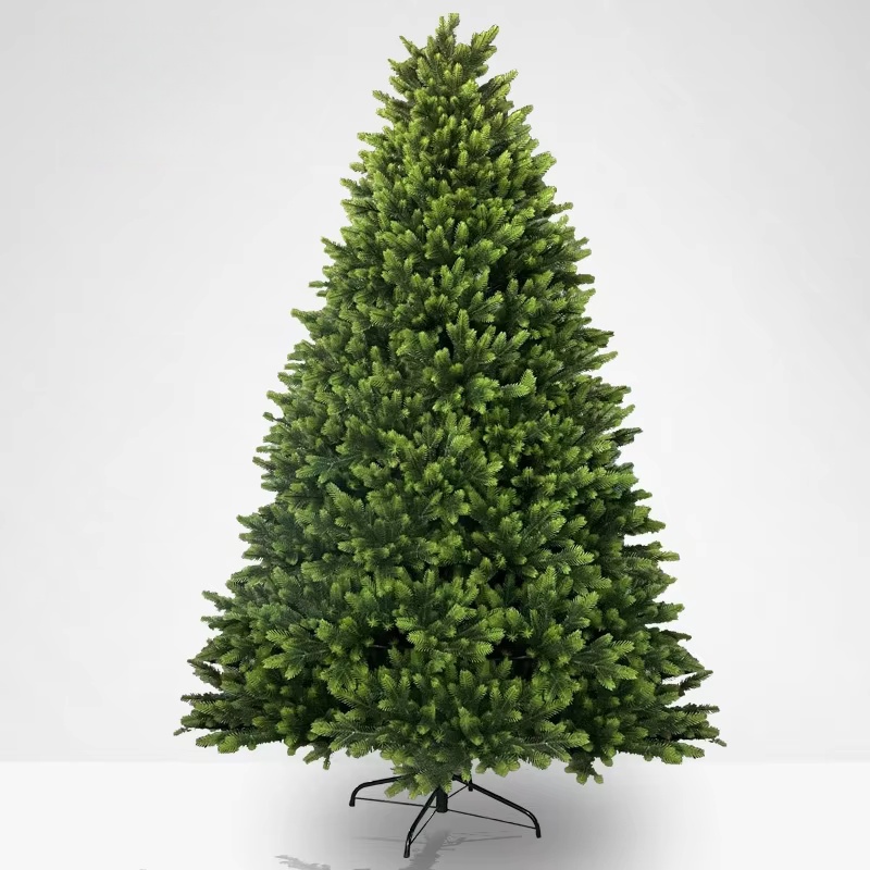 How to Choose the Most Natural and Authentic New Year Trees of the ...