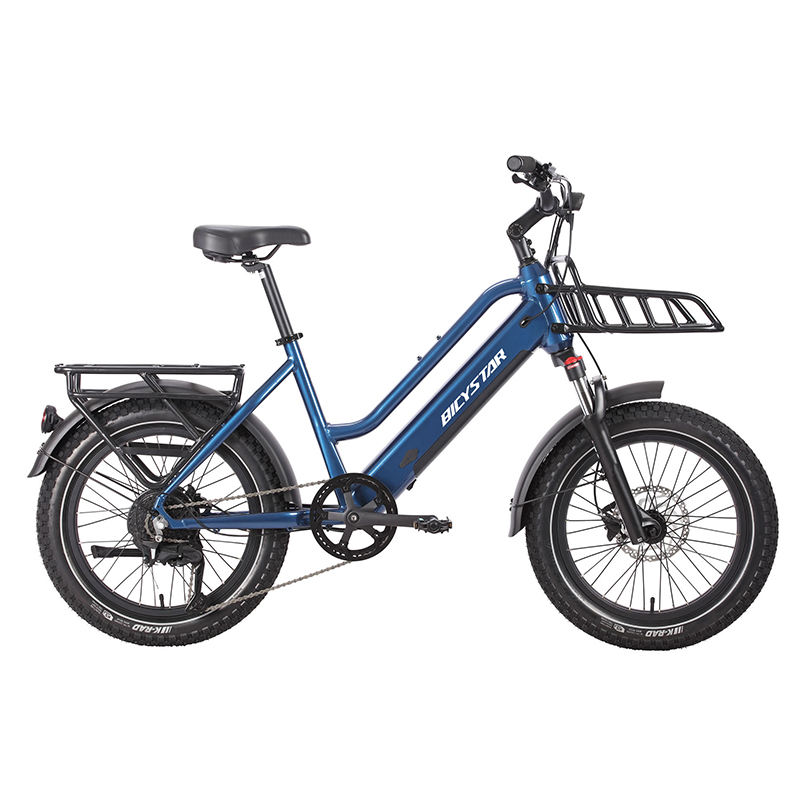 How to Choose the Best Electric Bicycle 3000W for Power and Performance