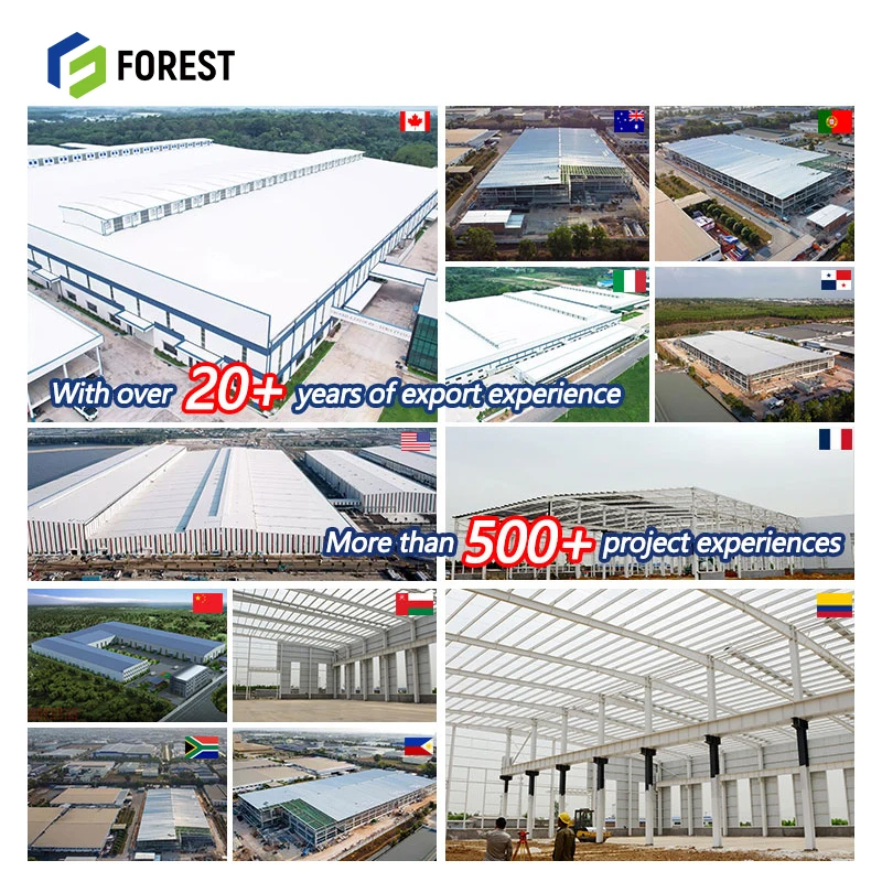 Prefabricated Steel Structure Warehouse Agricultural Facility Corrosion ...