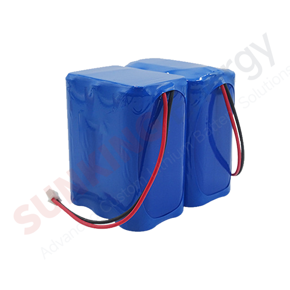 Wholesale Lithium Battery Pack 12V 24V 36V 48V for Air Pump E-Bike ...