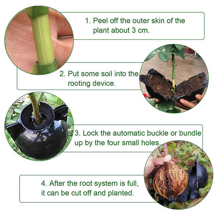 Small Rooting Air Layer Garden Accessories Plastic Plant Grafting Balls ...