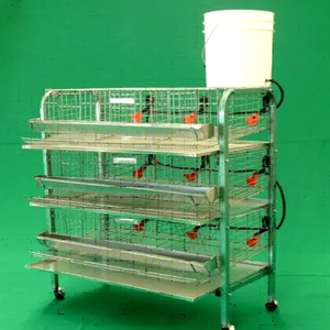 Sturdy Spacious Quail Cage and Water System for Varied Animals ...