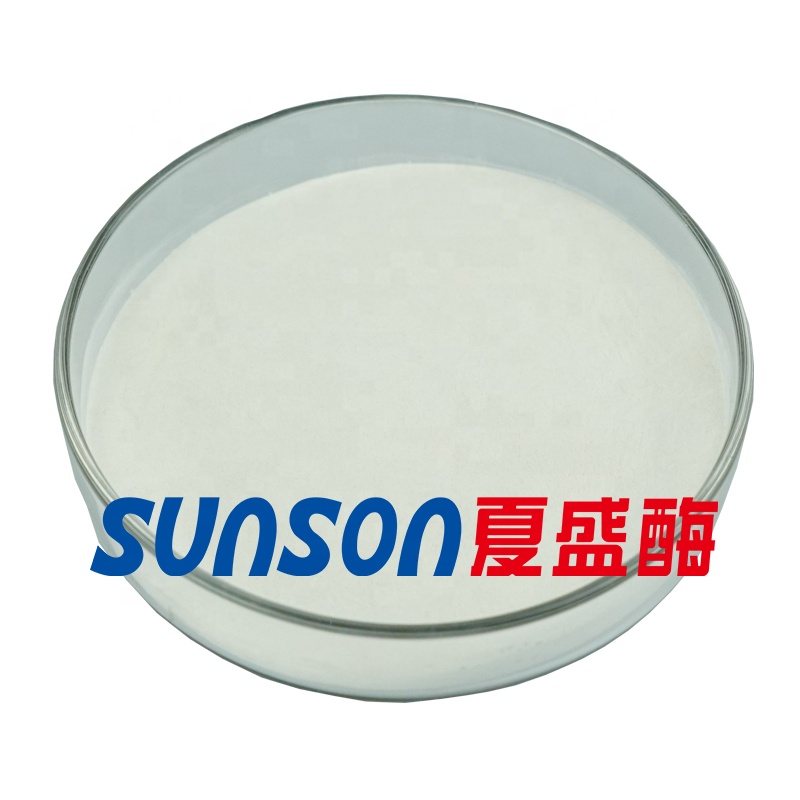 Company Overview - Sunson Industry Group Co., Ltd.