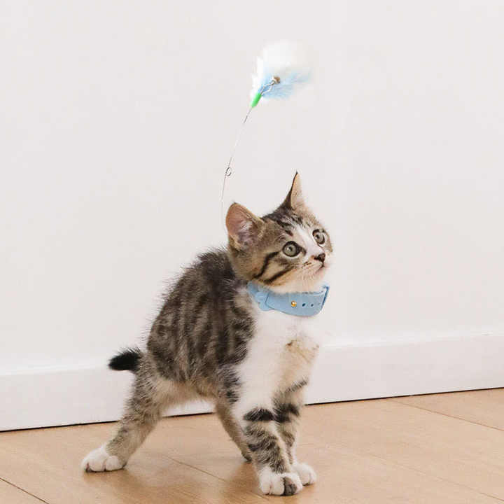 New Design Creative Adjustable Funny Cat Toy Stick Collar Cat Teaser ...