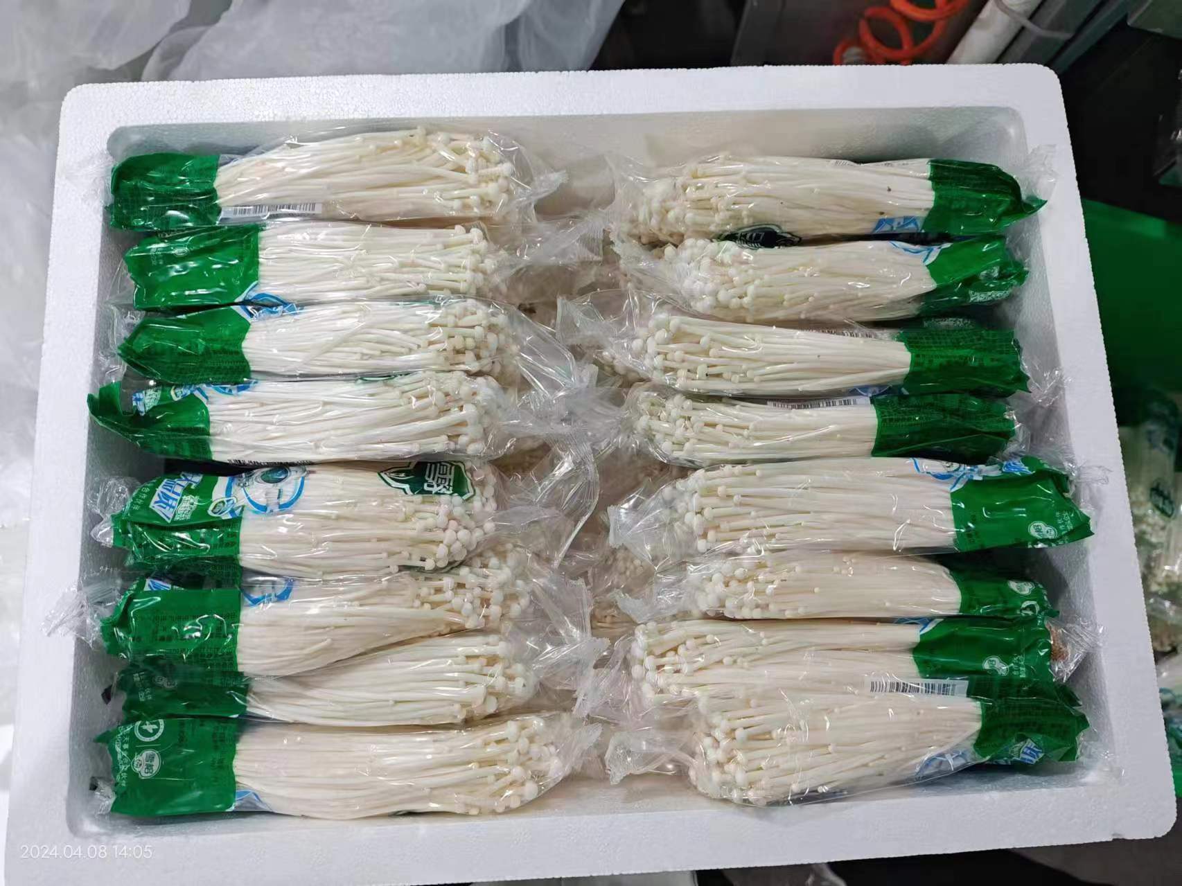 How to Choose the Best Enoki Mushroom Spawn for Home Cultivation