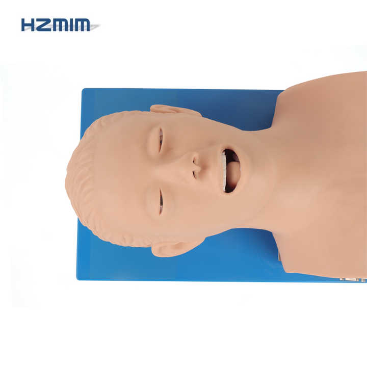 Adult Airway Trachea Intubation Model - Realistic Training