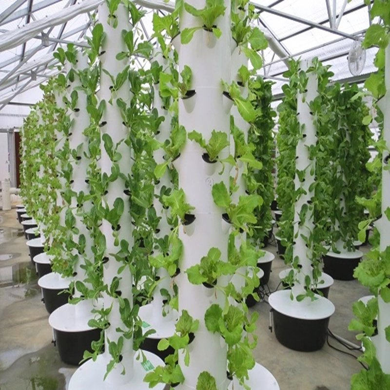 Column Hydroponic Aeroponic Systems for Greenhouse Planting