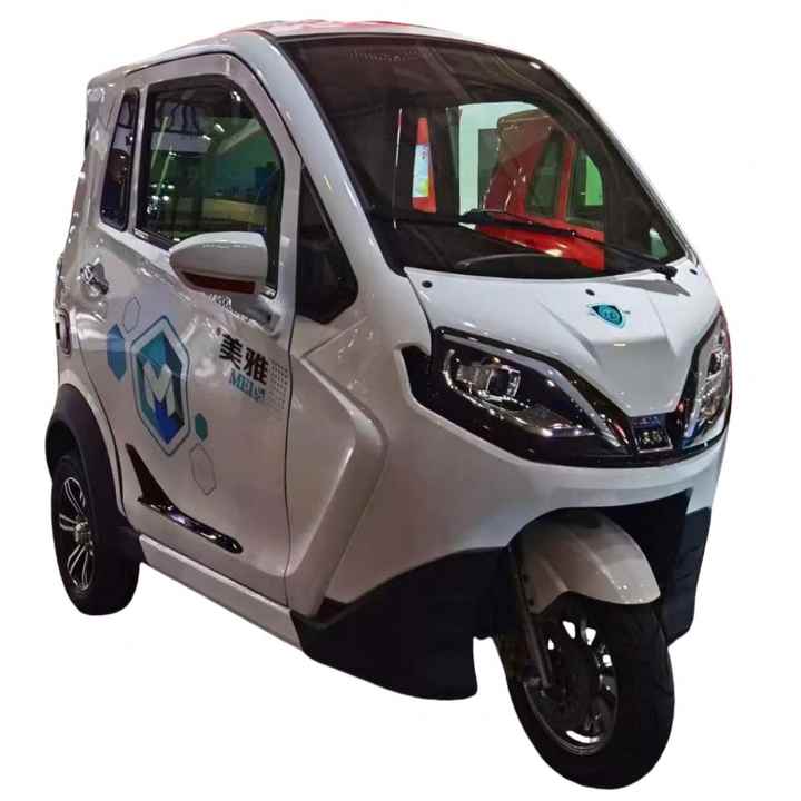 Motorcycle 3 Person Tricycle Enclosed Electric Tricycle for 2 Person ...