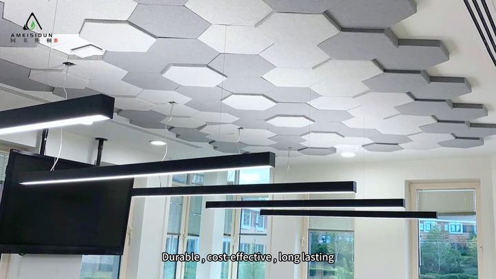 BIZ Mineral Fiber and Fiberglass Ceiling Tiles for Cinema