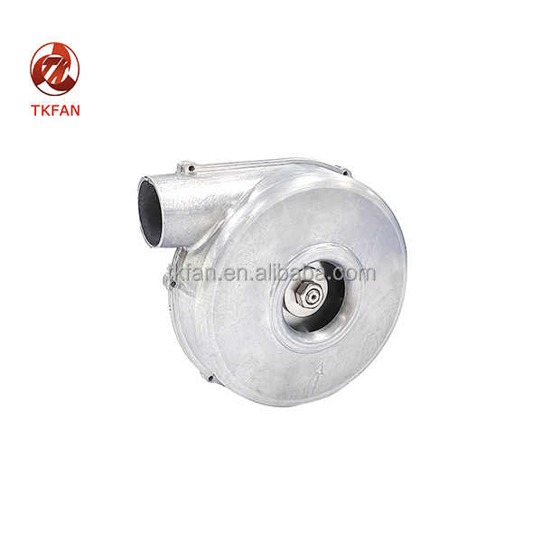 High-Power Mini Brushless DC Cordless Air Blower 12v/24v ODM