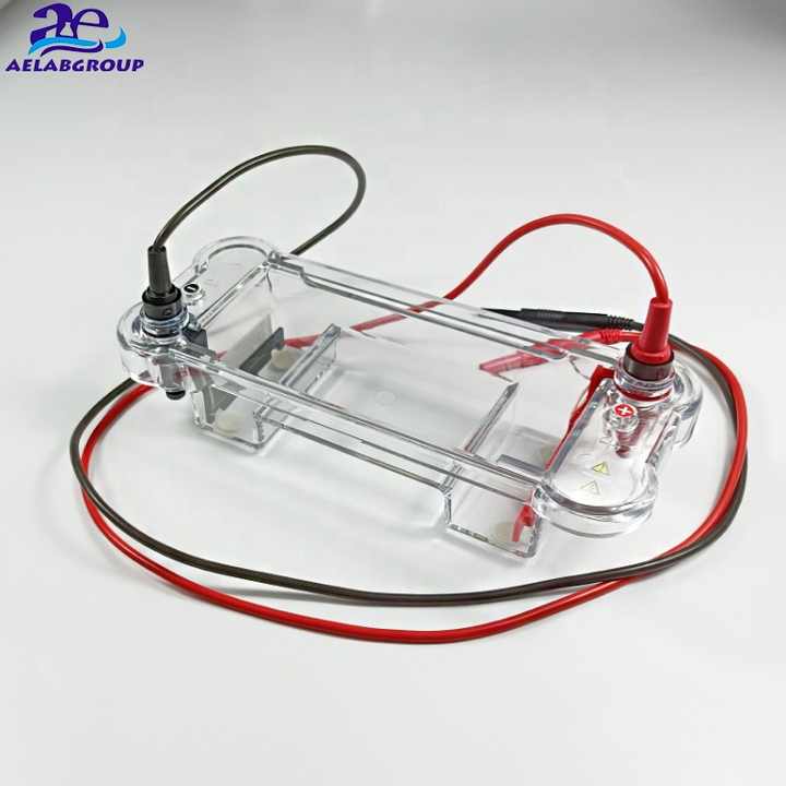 Mini Gel Tank - Horizontal Capillary Haemoglobin Electrophoresis