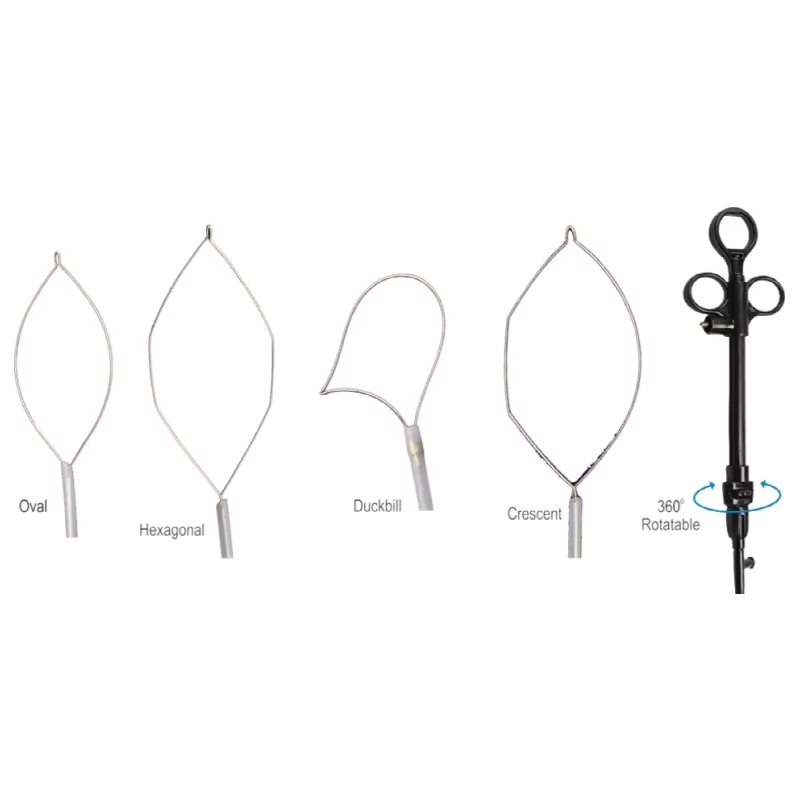 Disposable Endoscopic Medical Polypectomy Snare Electric Plastic Manual ...