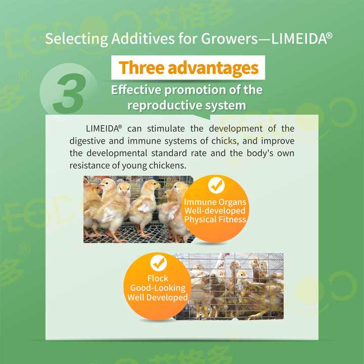 Animal Poultry Feed Additive 12kg/Bag Food Grade Amino Acids Premix for ...