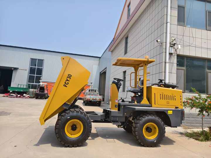 Famous Brand CE/ISO Hydraulic Steering and Tipping Systmem 3 Ton SITE ...