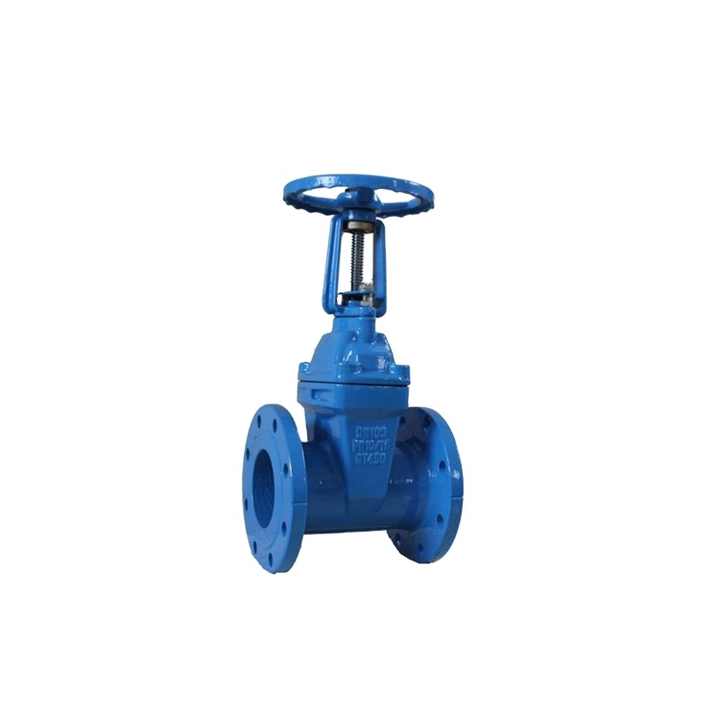 DN100 Resilient Seated Gate Valve ANSI Ductile Iron Flanged Gate Valve ...