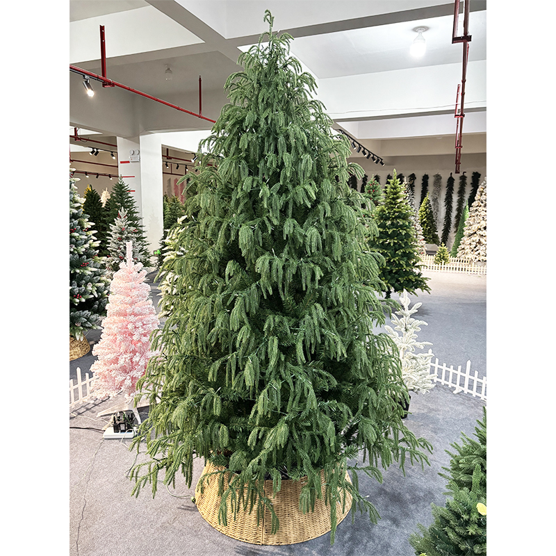 How to Choose the Best Prop Tree Big for Your Needs