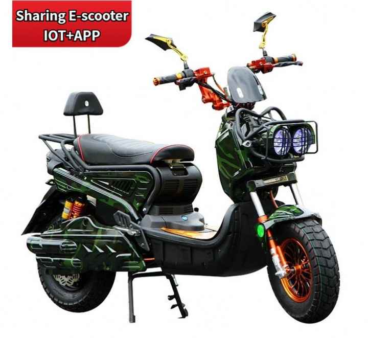 Racing Electric Motorcycle 125 Moped - Chinese CE 60V