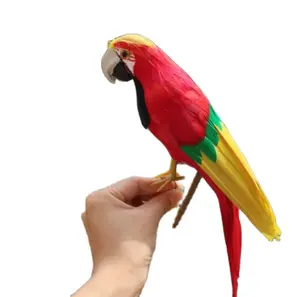 All You Need to Know About Buying Parrots Online – Hartselle Chamber