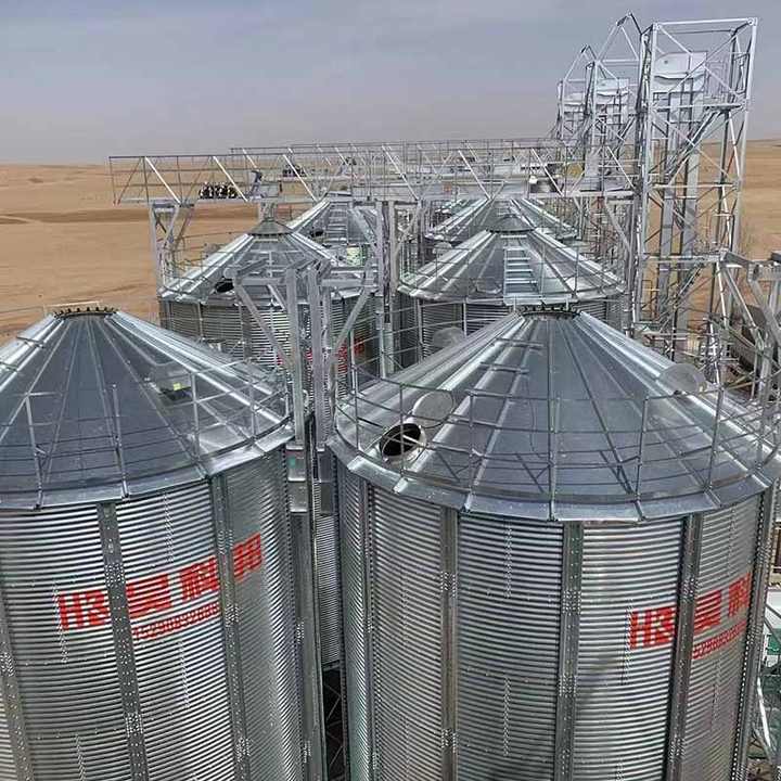 Large Capacity Maize Storage Silos for Efficient Grain Management