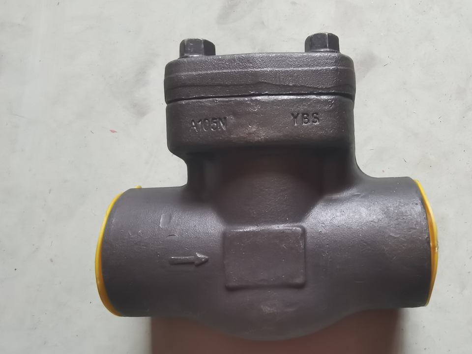 Dn 50 High Pressure A105n Forged Steel Check Valve Oem | Wholesale