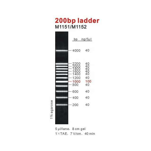 200bp DNA Ladder, Marker, OEM| Alibaba.com