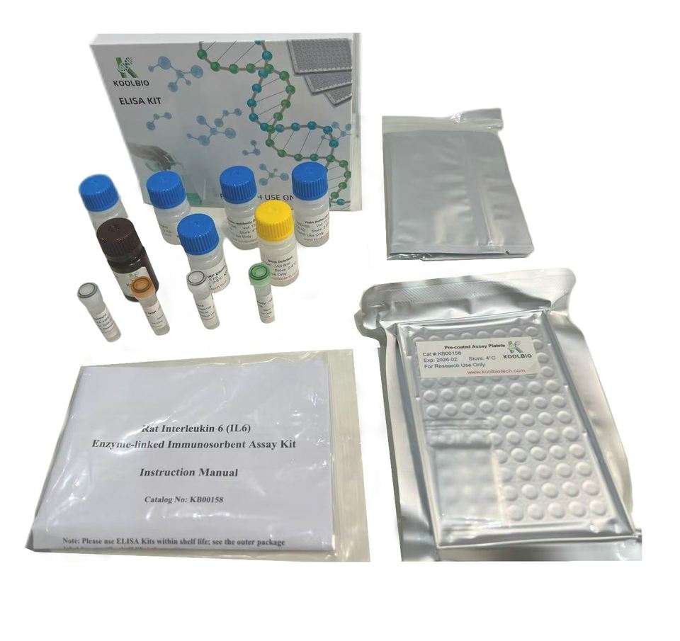 High Specificity 96-Well Rat Cytokeratin-18 (CK18) ELISA Kit for Liver ...