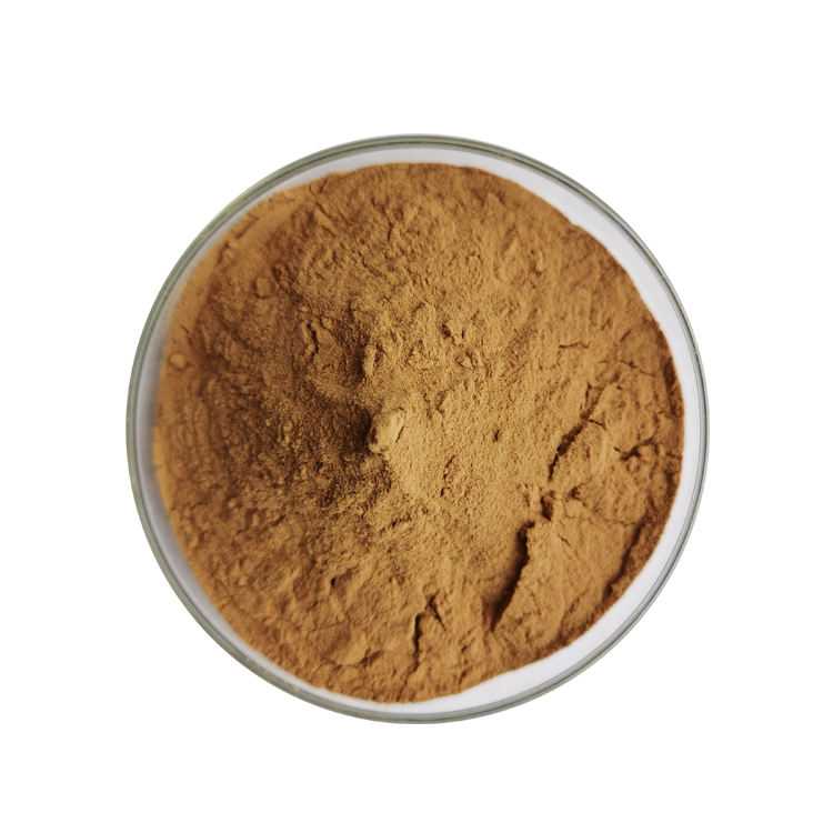 Pure Natural Tannic Acid Powder - Galla Chinensis Extract
