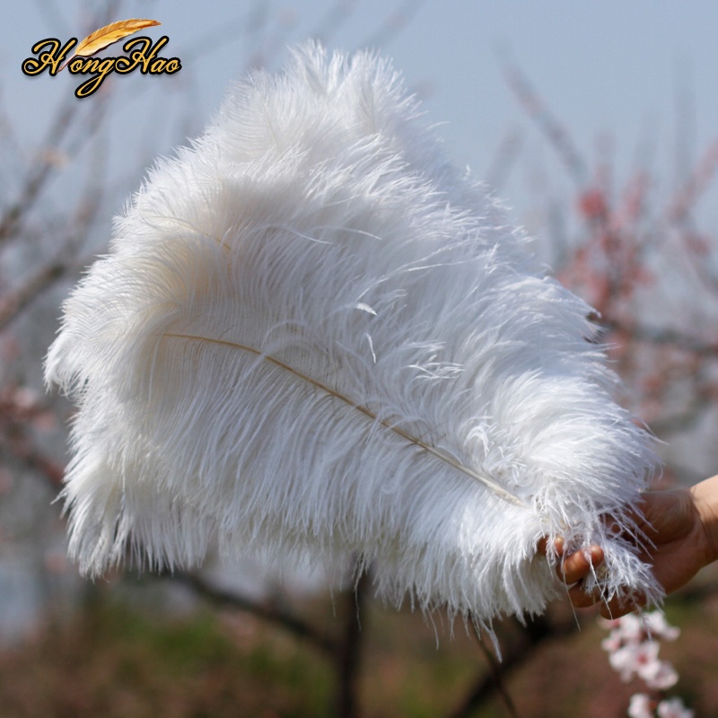 Variety Of Soft And Fluffy Wholesale artificial ostrich feather Alibaba