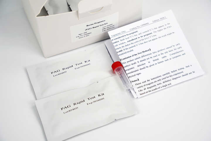 Cattle Pregnancy Blood Test - Rapid Diagnosis Kits for Cows
