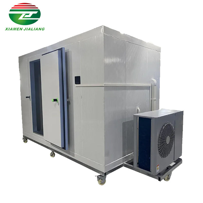 Modular Mobile Cold Room Freezers for Efficient Storage