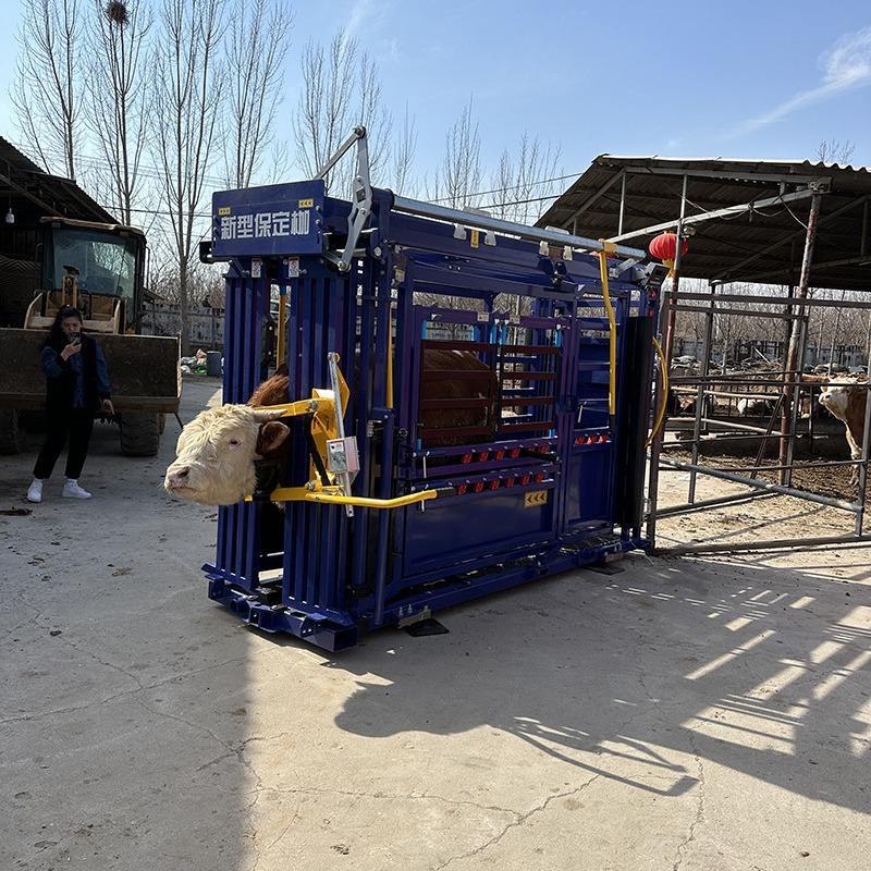 New Steel Portable Gate Cattle Squeeze Chute Galvanized with Scale ...