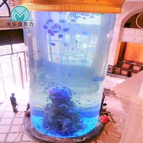 Shop Our Customized Acrylic Fish Aquariums - Durable & Sustainable