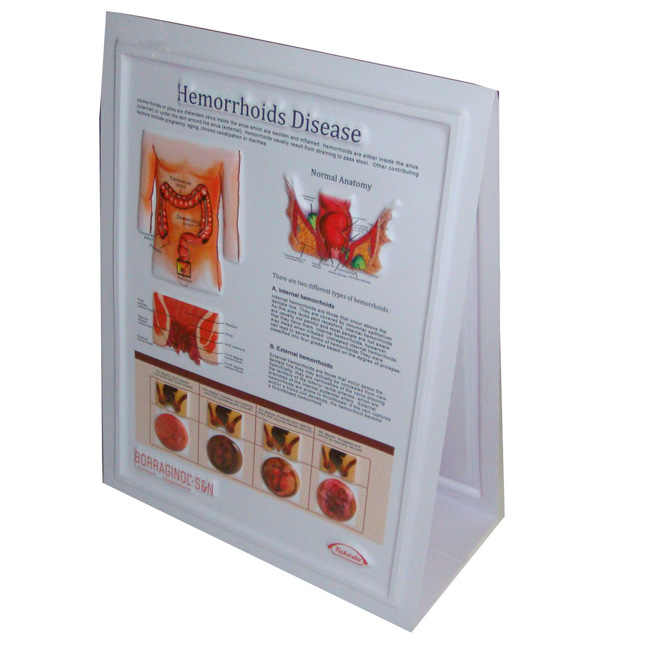 Personalised 3D PVC Medical Wall Chart for Medicine Medical Science ...