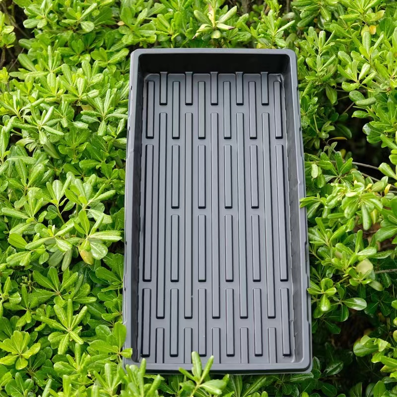 How to Choose the Best Tray Planting Pot: A Complete Buying Guide