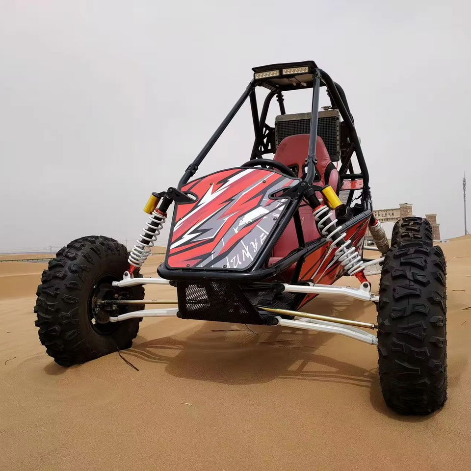 Easy-go Newest 200cc/300cc High Speed Single Seat Off Road Buggy for ...