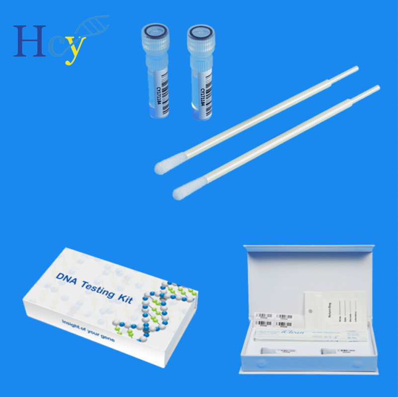 HCY DNA Collection Kit Home Buccal Swab for DNA Test Sampling CE ...