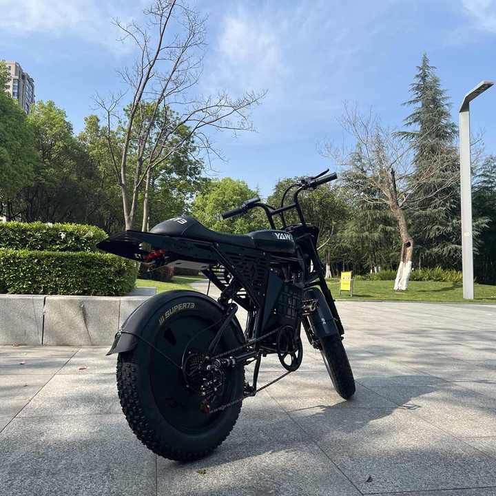 Electric City Recreational Bikes - 20 Inch Tires 400-1500W