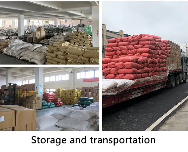 How to Choose the Best Funnel Seed for Your Needs: A Complete Buying Guide