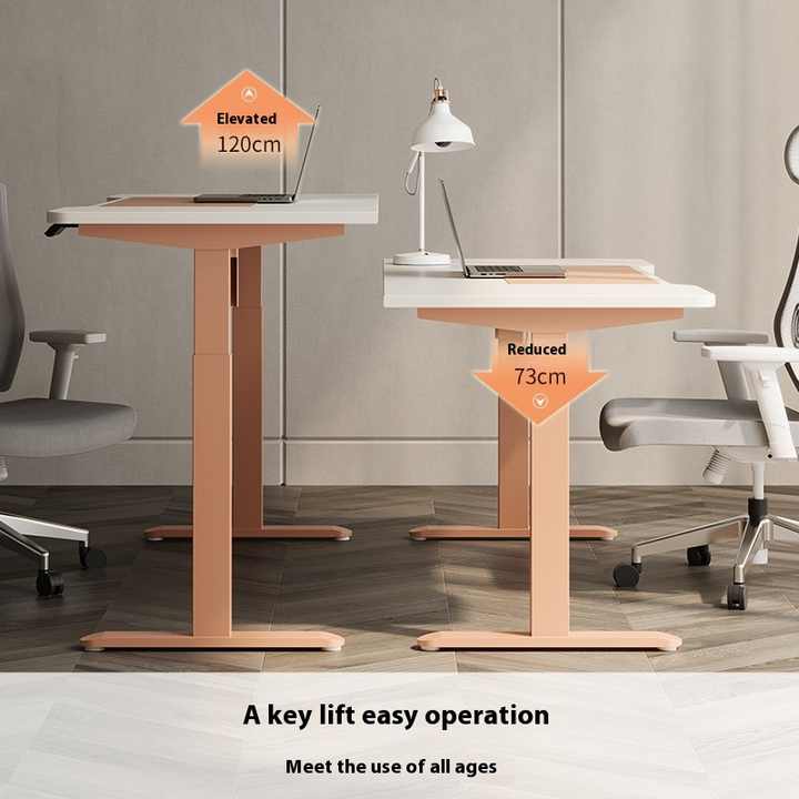 Modern Electric Lift Home Office Computer Desk Panel Wood Style for ...