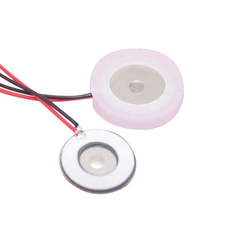Microporous Ultrasonic Piezoelectric Glass Ceramic Disc Atomizer for ...