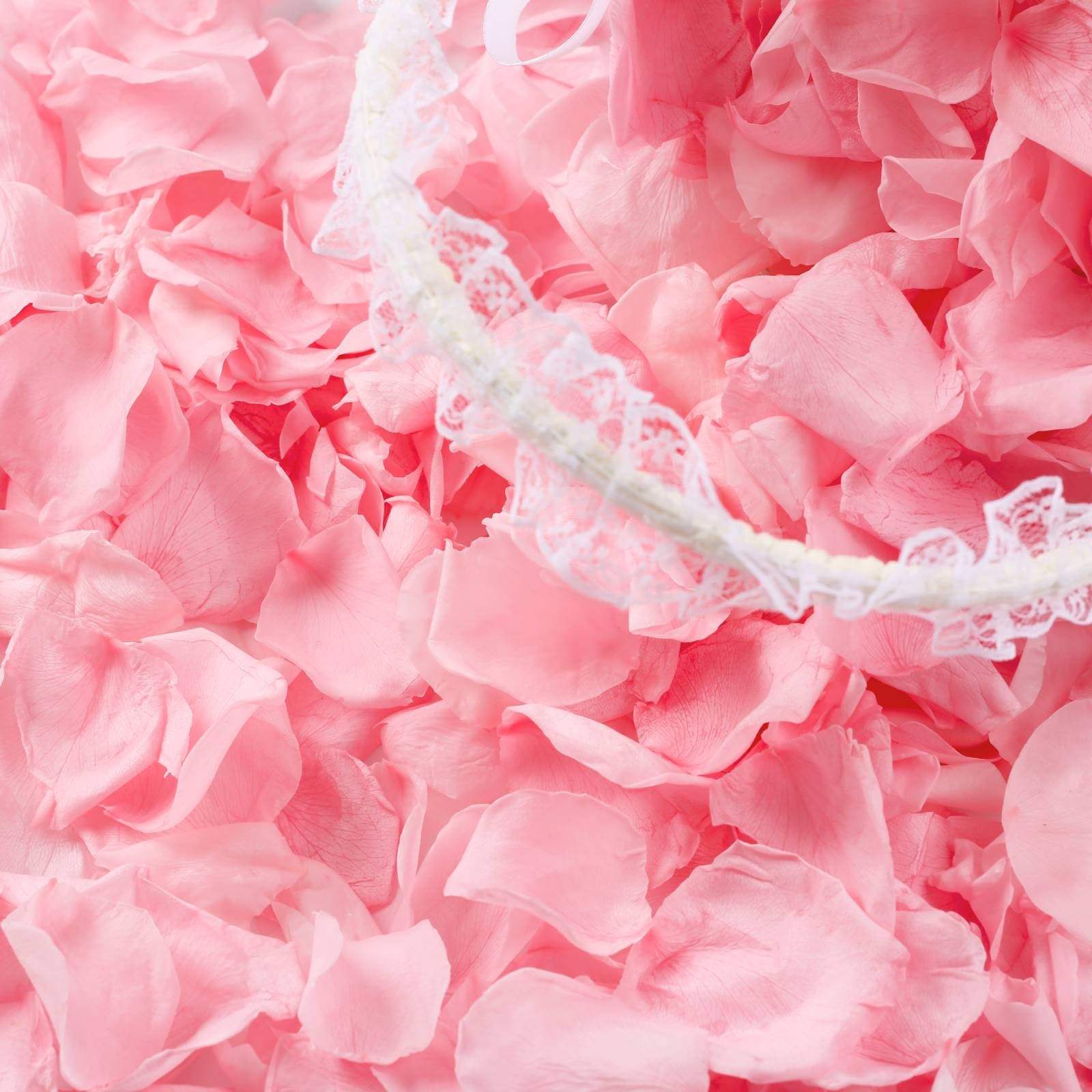 How to Choose Freeze Dry Flower Petals: Buying Guide & Tips