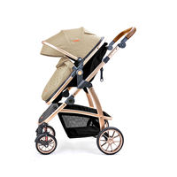 Designer Stroller Brands