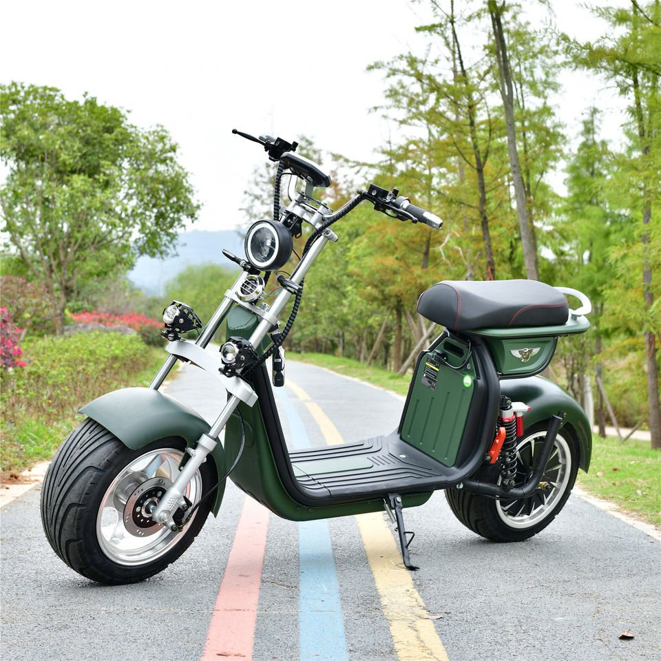 2026 New Citycoco 250W 2-Wheel Electric Scooter Lithium Battery ...