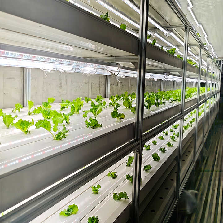 Indoor Planting System Hydroponics Vertical Multi-layer Planting Frame ...